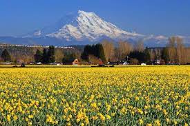 Dr. Charles Emlet: Developing an age-friendly Puyallup | Community ...