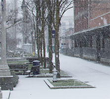 Weather Closure | News & Information | University of Washington Tacoma