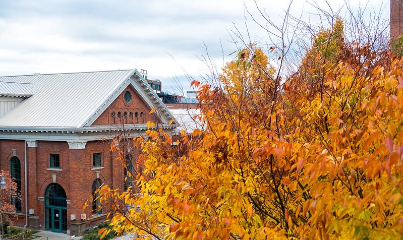 Human Resources | Human Resources | University of Washington Tacoma
