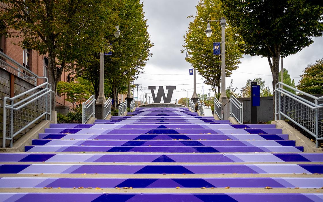 Making a Comeback | News & Information | University of Washington Tacoma