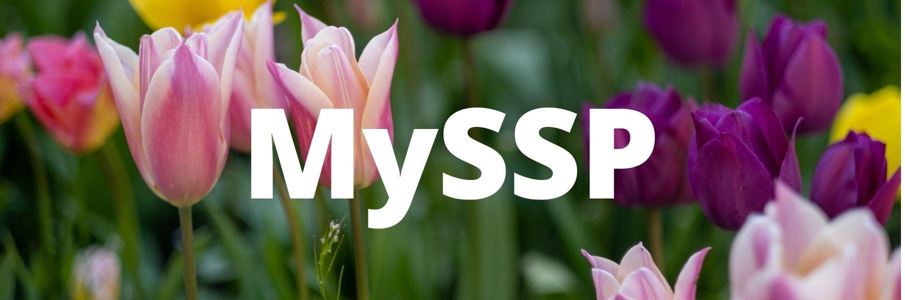 MySSP | Psychological & Wellness Services | University of Washington Tacoma