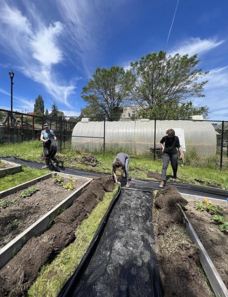Giving Garden | Student Involvement | University of Washington Tacoma