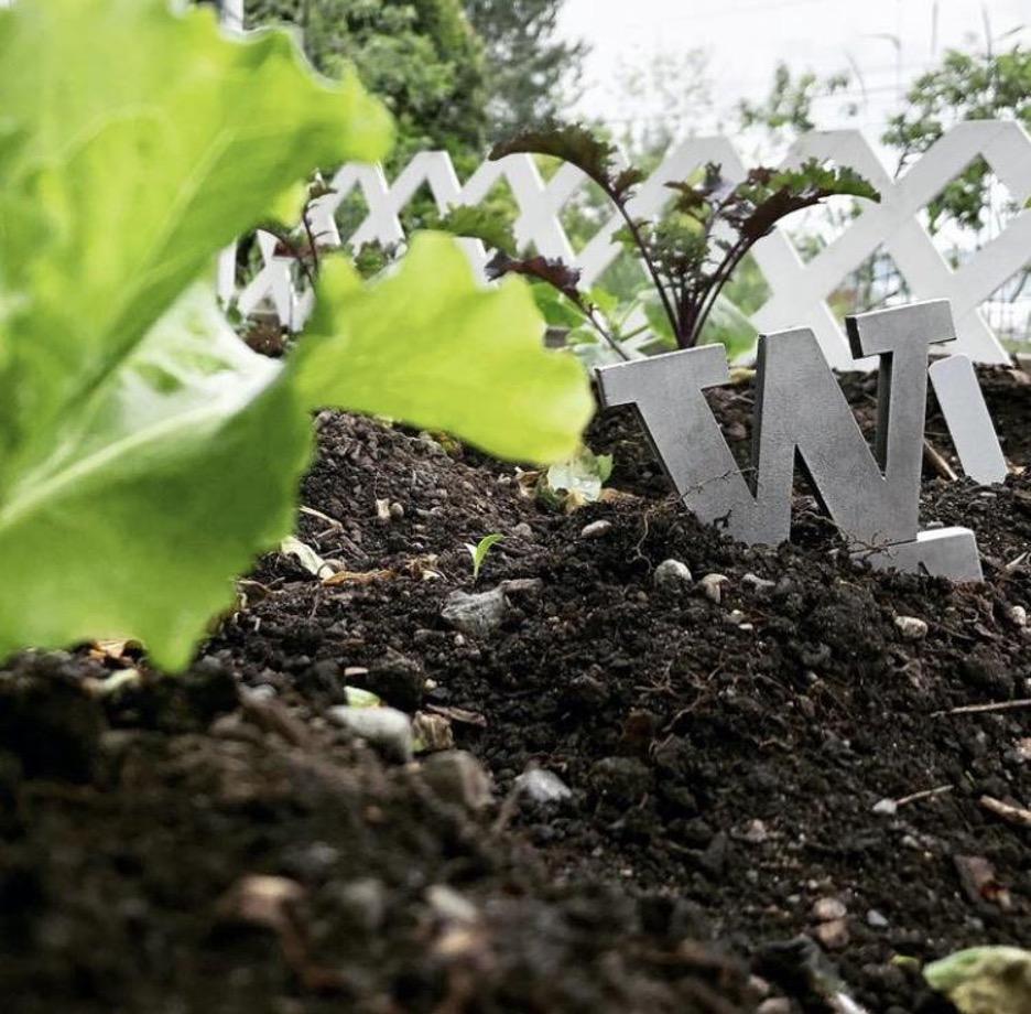 Giving Garden | Student Involvement | University of Washington Tacoma