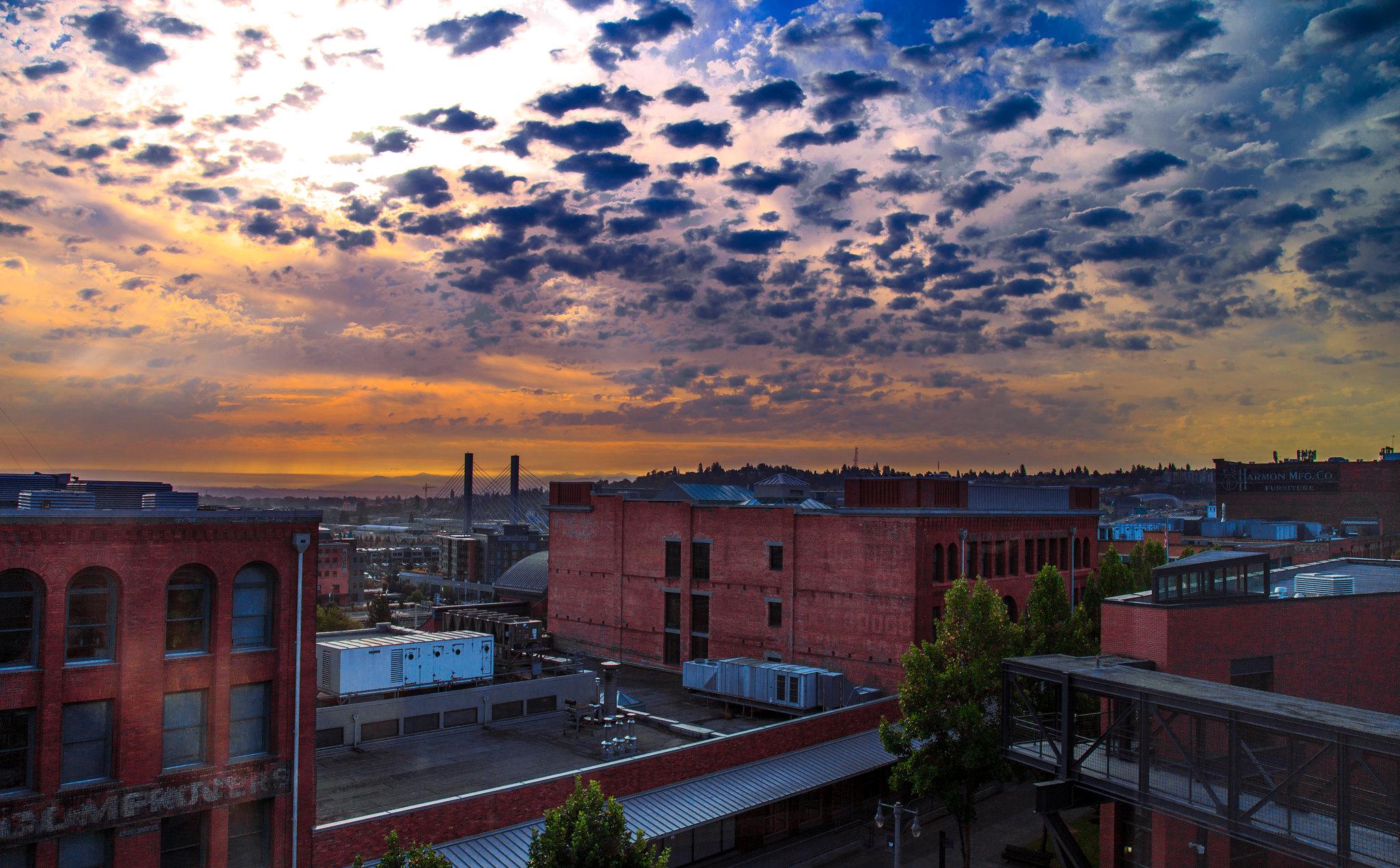 Campus Life | About UW Tacoma | University of Washington Tacoma