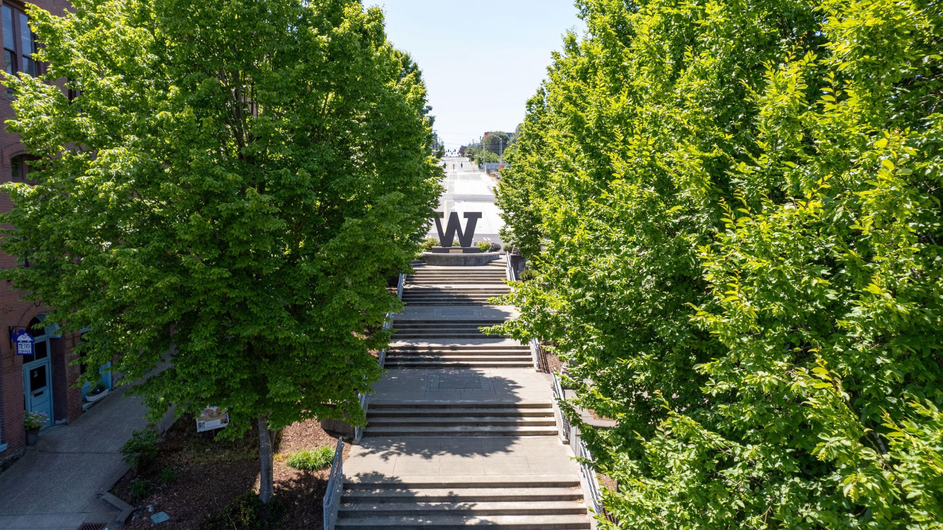 Direct Entry - Master of Science in Business Analytics | Milgard School ...