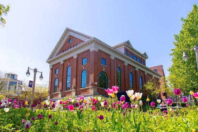 Discover UW Tacoma | Psychological & Wellness Services | University of ...